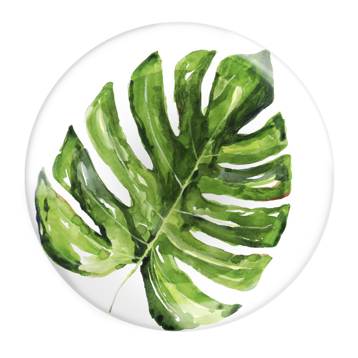Exotic Collection Dinner Plate Set of 4 – Fern&Co.