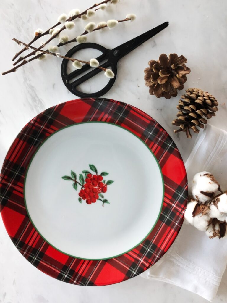Red Berry Collection Dinnerware Set – 16 Pieces – Fern&Co.