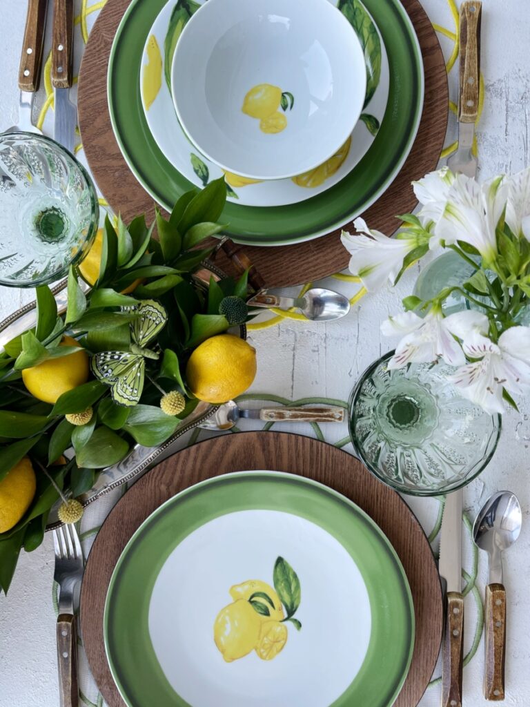 Citrus Collection Dinnerware Set – 12 Pieces – Fern&Co.